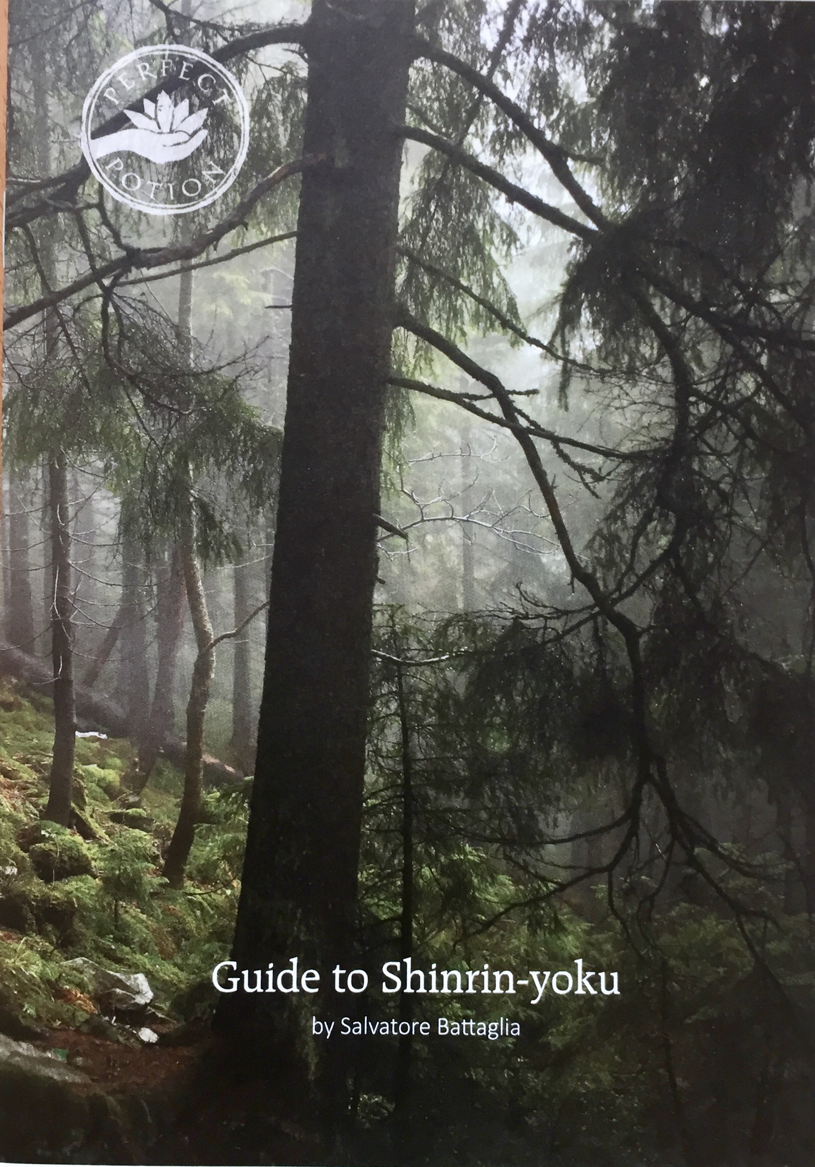 Forest Bathing and Japanese Yakusugi Essential Oil by Sal Battaglia ...